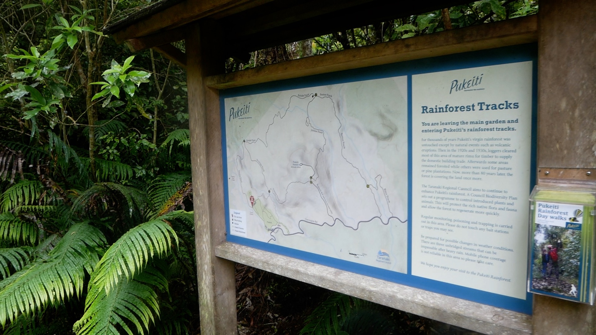 Walk review: Pukeiti – Rainforest Tracks – This is South Taranaki